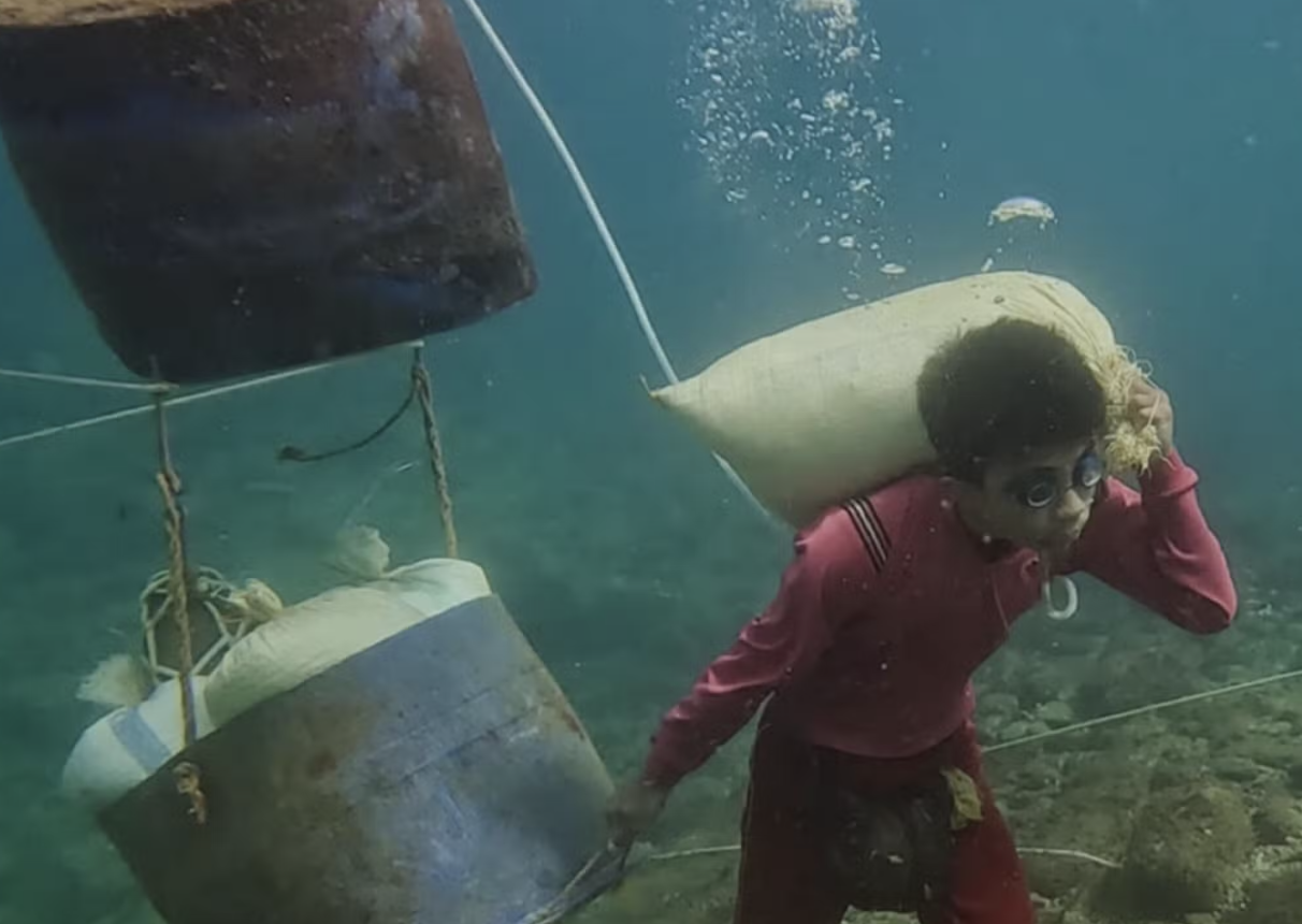 French Docufilm on Philippine Gold Divers Among 2025 International Emmy ...