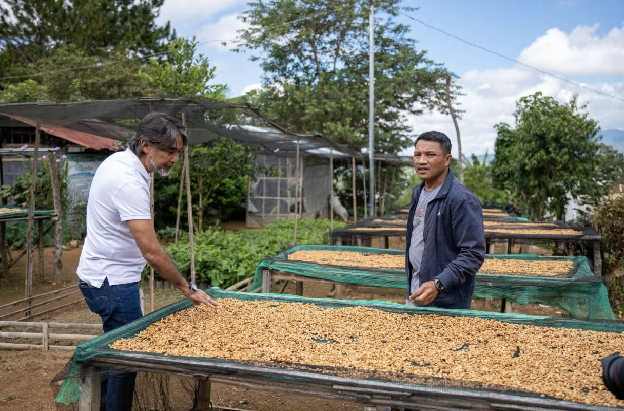 Bukidnon Taps Arabica Coffee as a “Climate Shield” and Economic ...