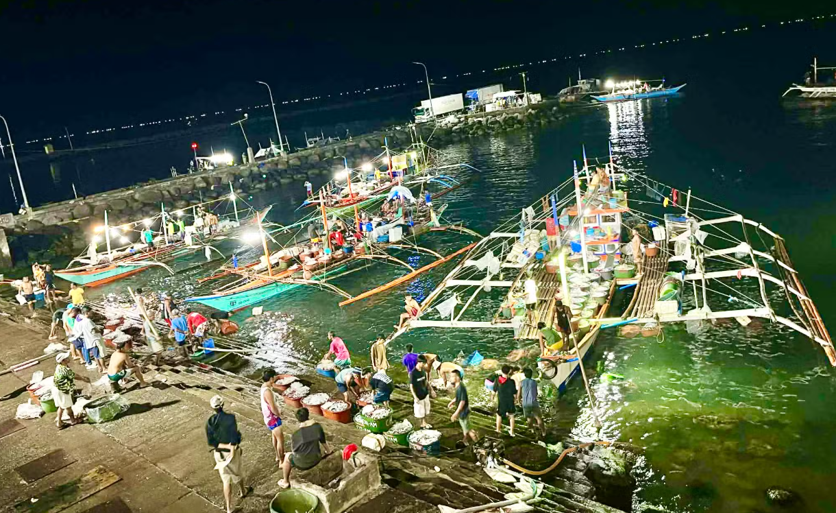 Excess Sardines Rot at Sorsogon Port After Holy Week – Rapid News PH